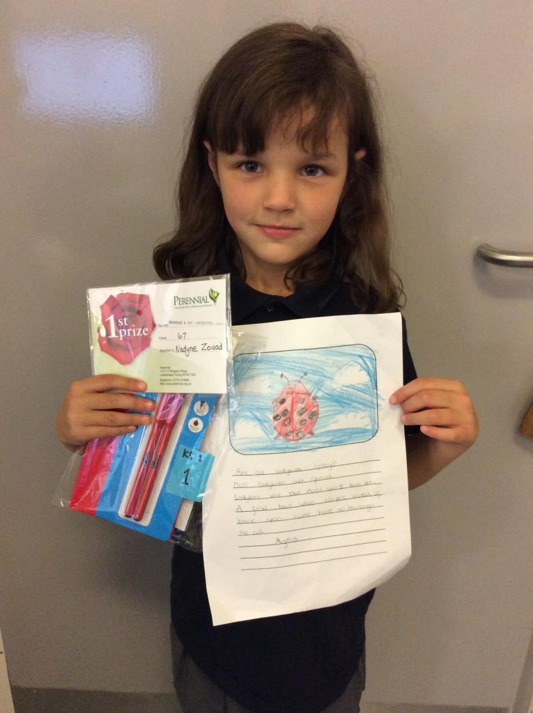 Y3 - Writing - Cookridge Primary