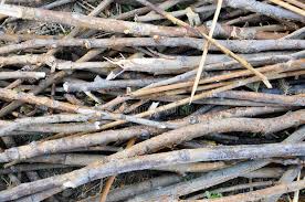 KS1-Bring a stick to school day - Cookridge Primary