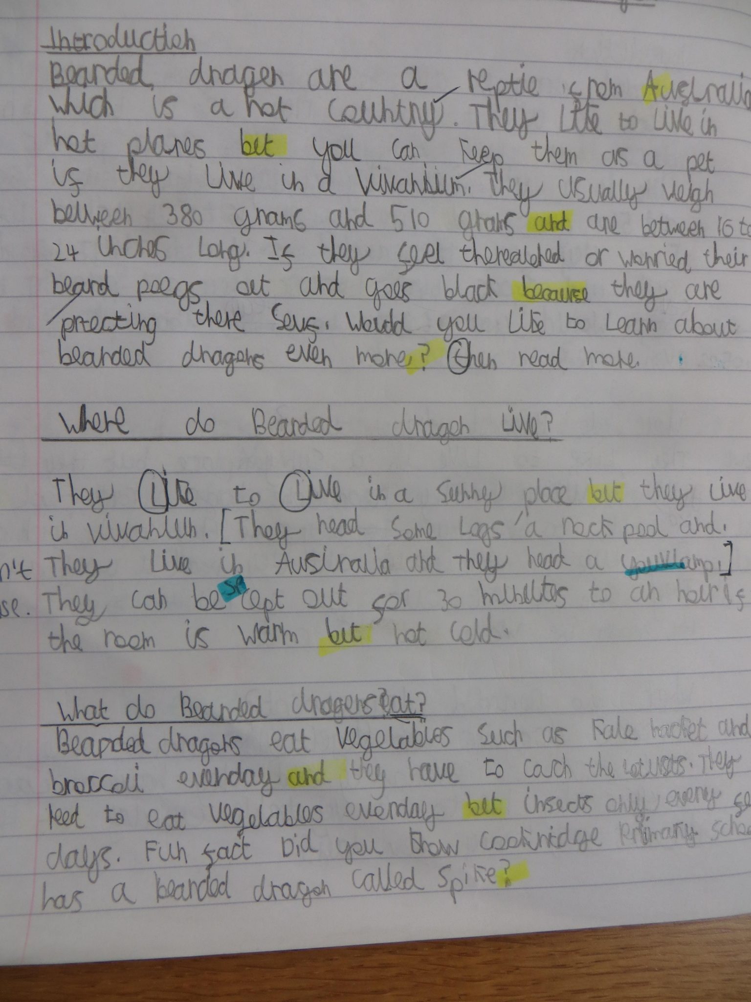 Y2 - Writing - Cookridge Primary