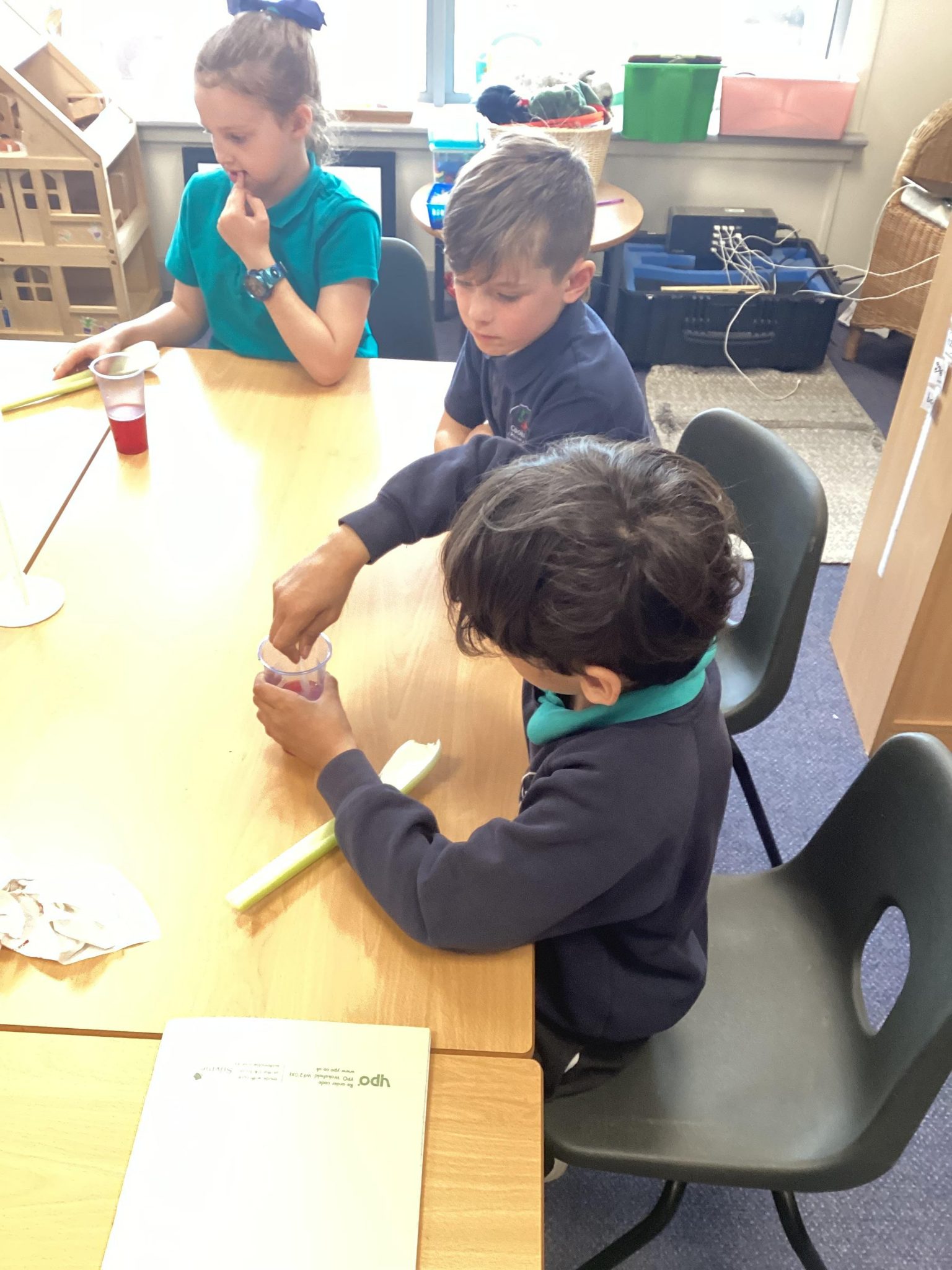 KS1 - Science - Celery Experiment! - Cookridge Primary