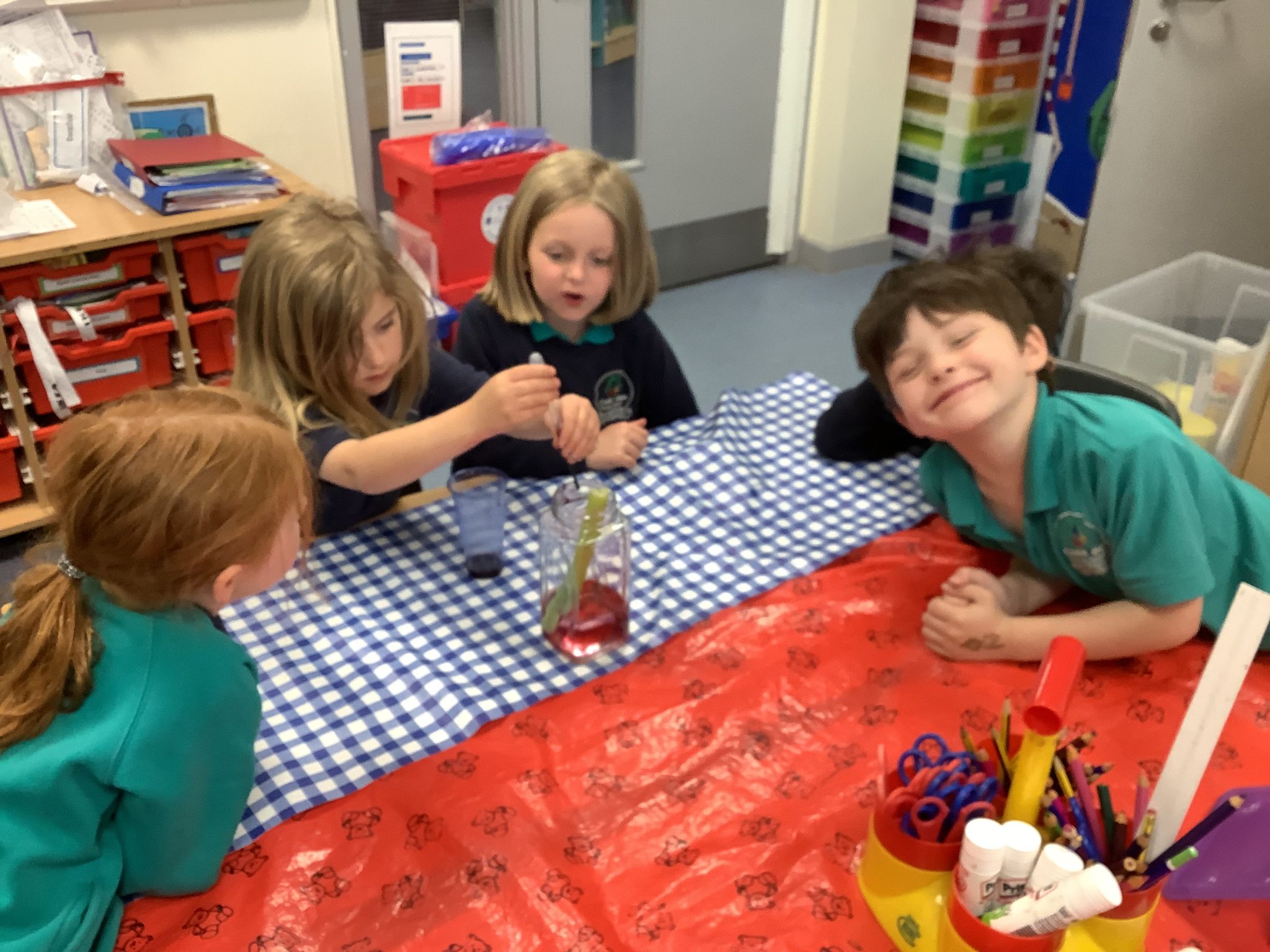 KS1 - Science - Celery Experiment! - Cookridge Primary