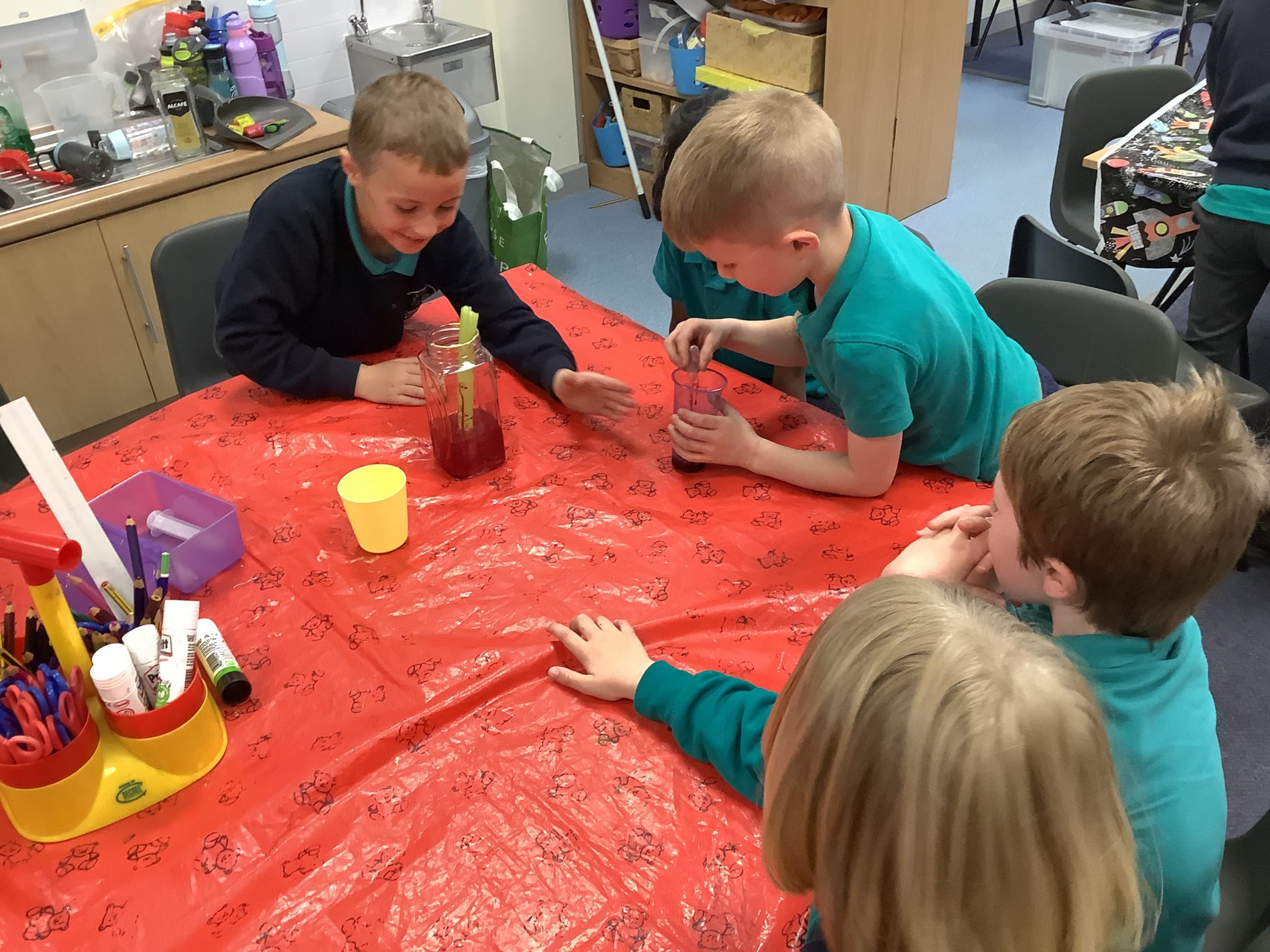 KS1 - Science - Celery Experiment! - Cookridge Primary