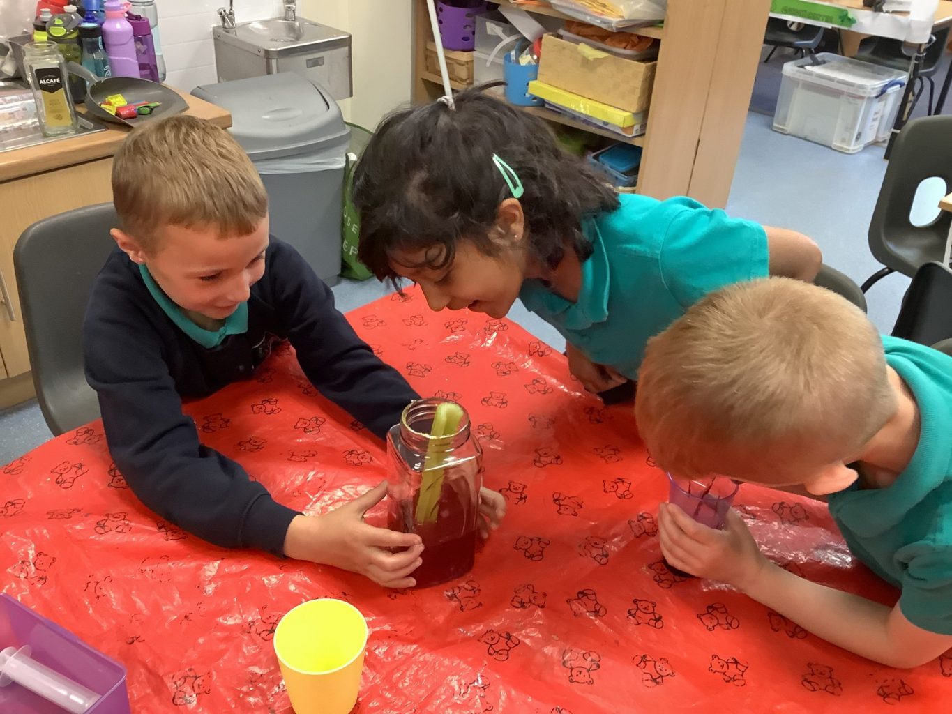 KS1 - Science - Celery Experiment! - Cookridge Primary