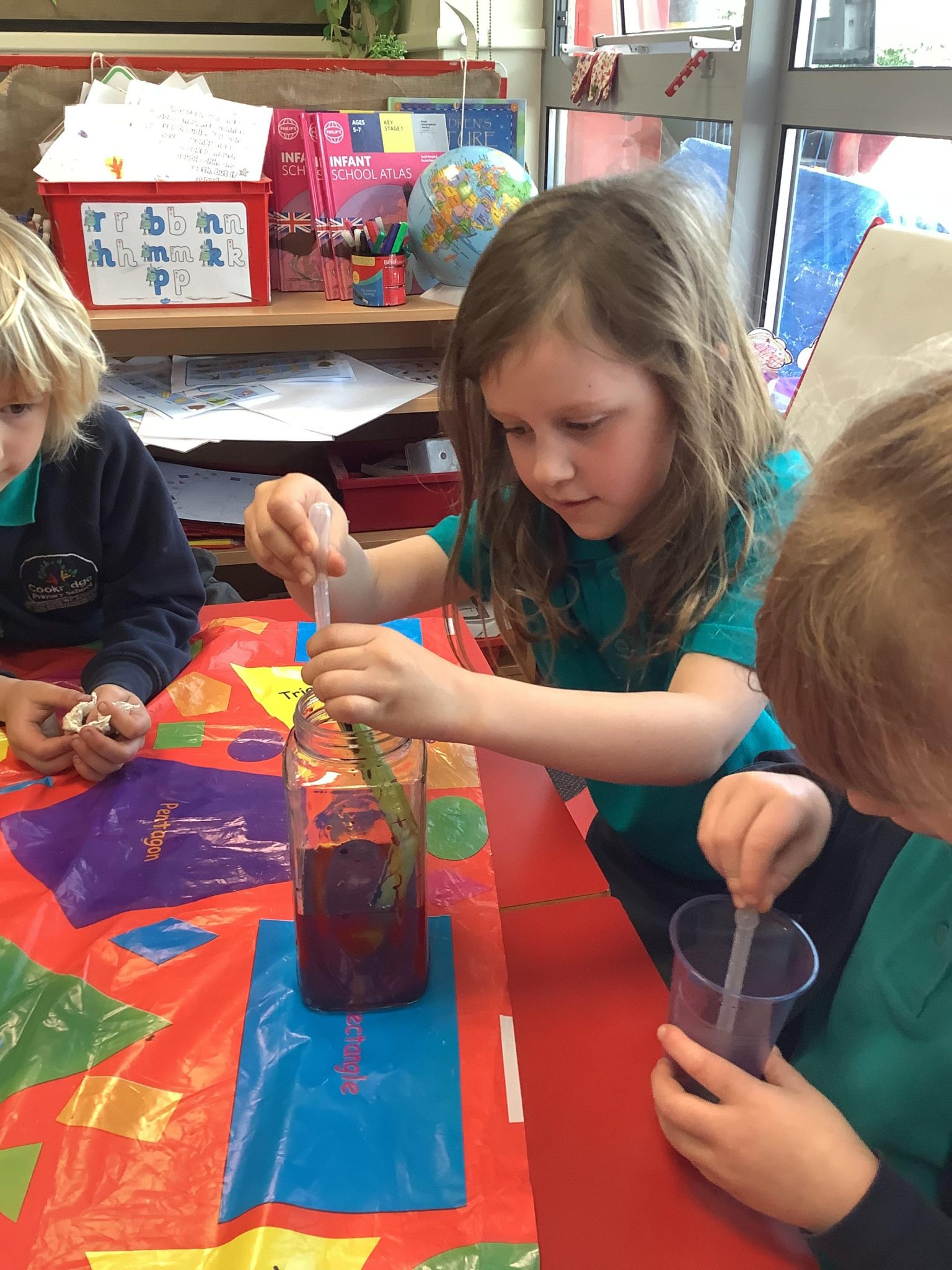 KS1 - Science - Celery Experiment! - Cookridge Primary