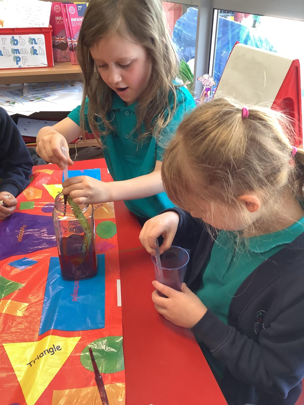 KS1 - Science - Celery Experiment! - Cookridge Primary