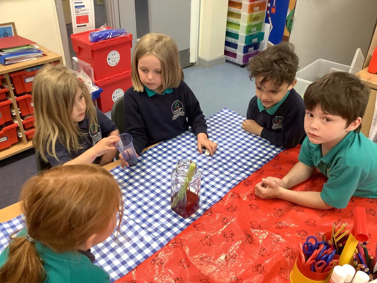 KS1 - Science - Celery Experiment! - Cookridge Primary
