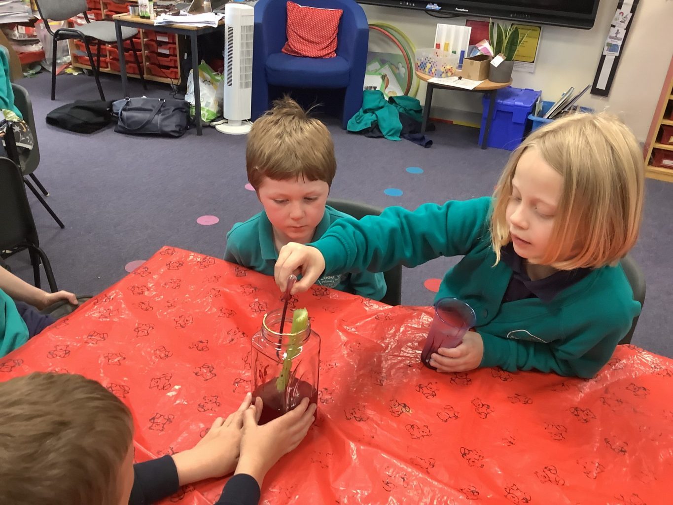 KS1 - Science - Celery Experiment! - Cookridge Primary